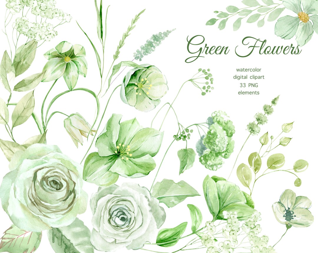 Watercolor Green Flowers Clipart. Green Roses and Gardening Flowers ...