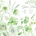 Watercolor Green Flowers Clipart. Green Roses and Gardening Flowers ...