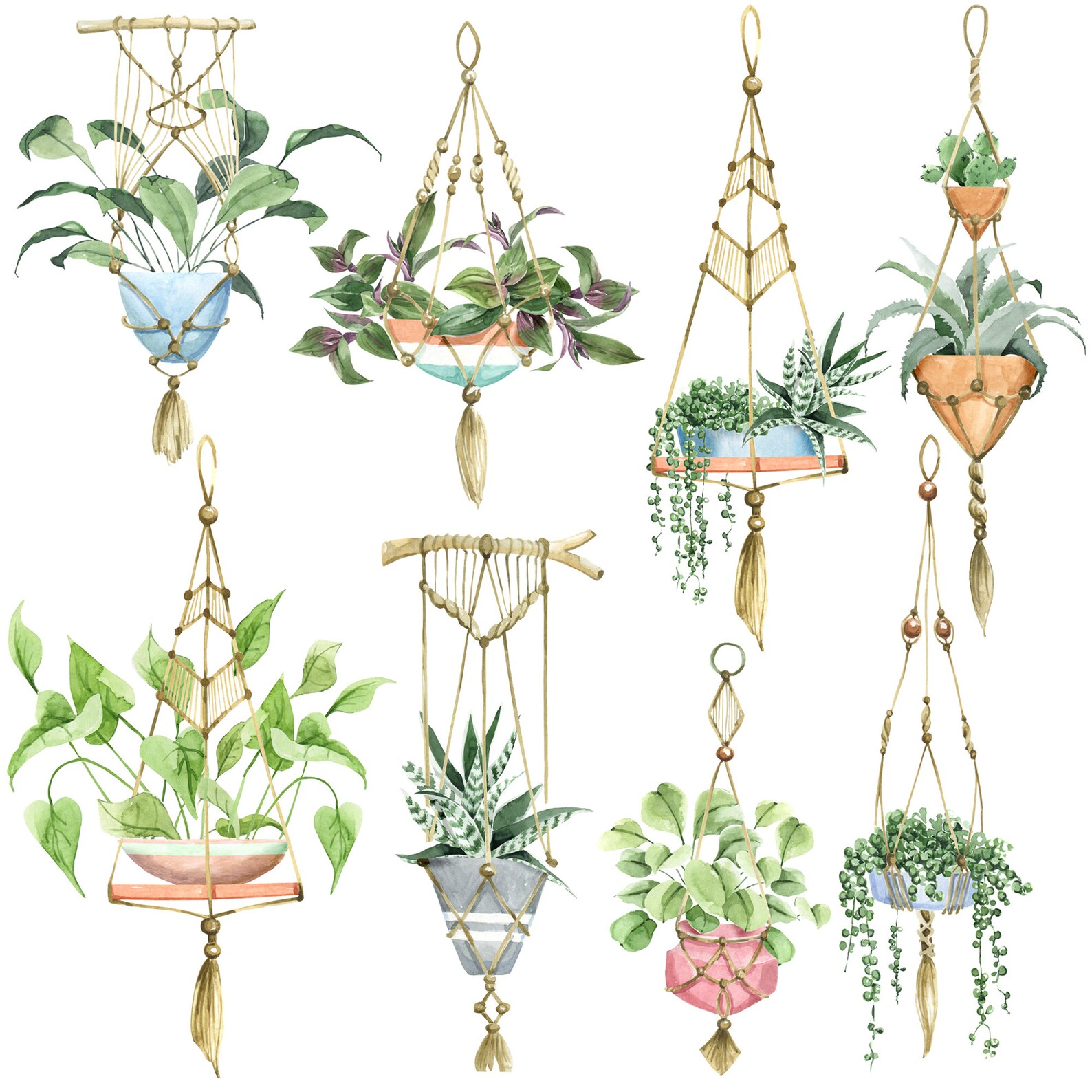 Watercolor Hanging Plant Clipart. Green Indoor House Plant - Etsy