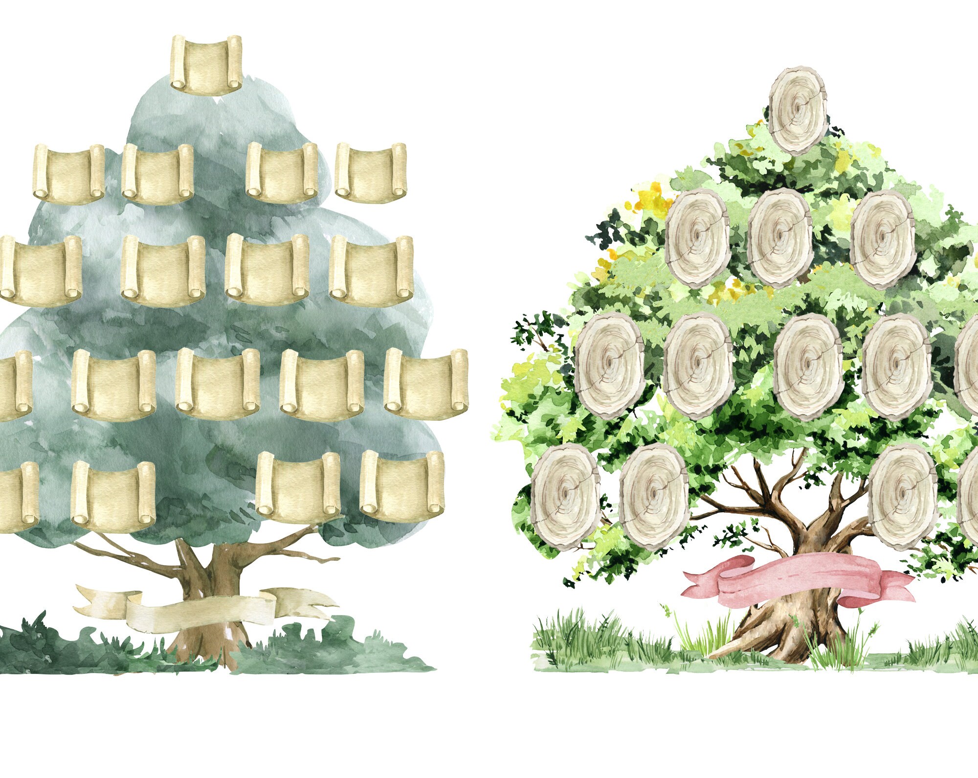 Watercolor Family Tree Clipart. Family Tree Creator. for | Etsy