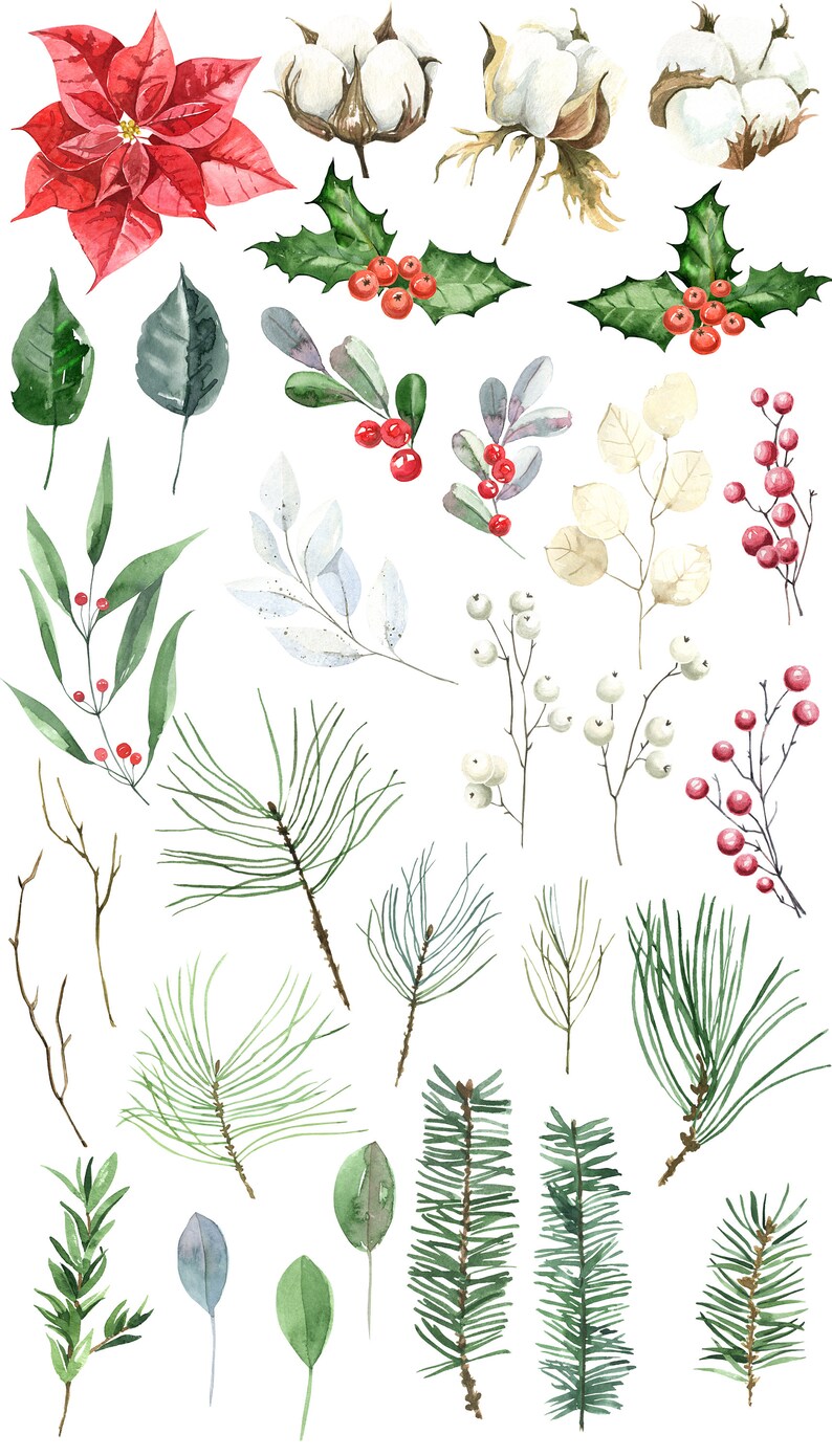 Watercolor Winter Greenery Clipart. Christmas Greenery Floral. | Etsy