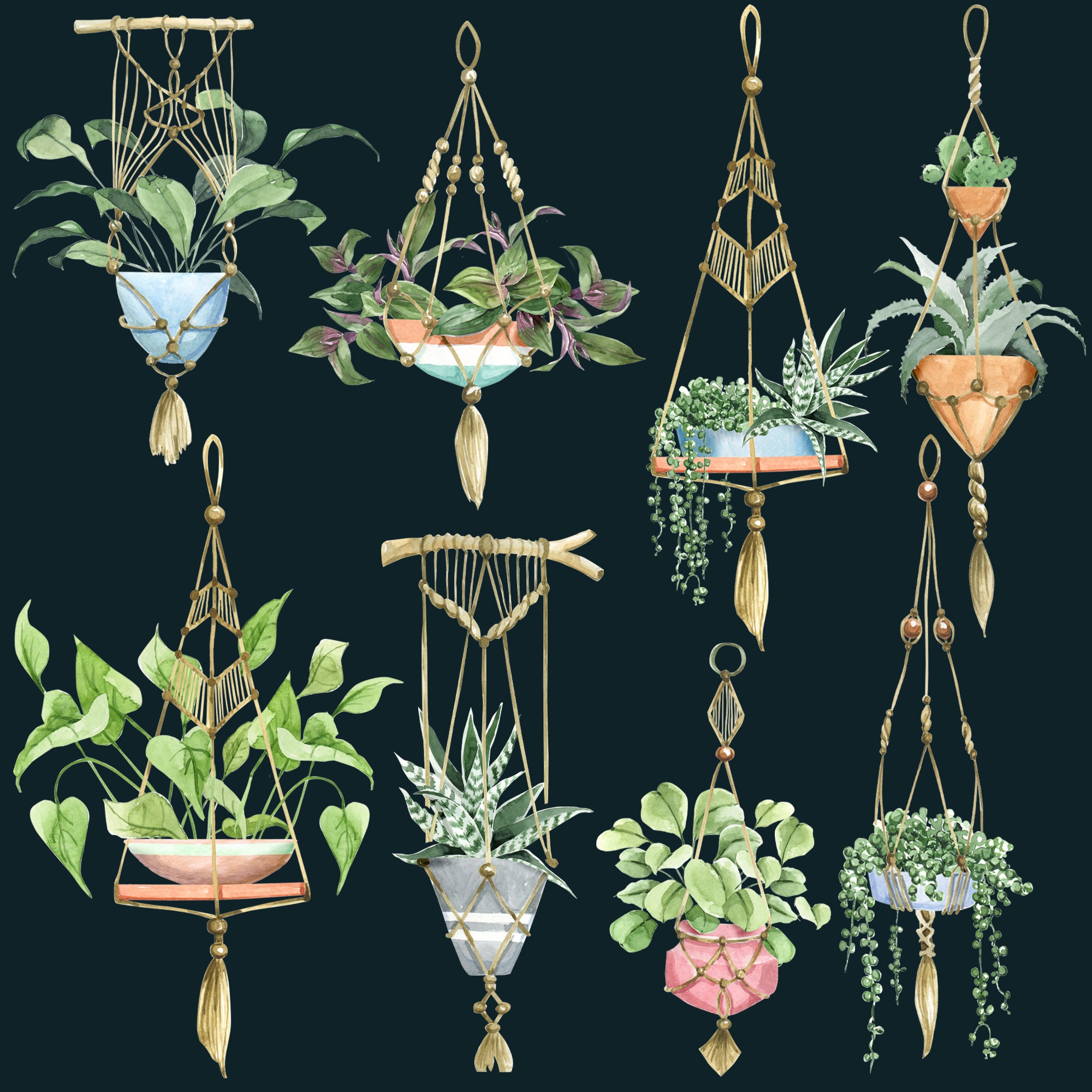 Watercolor Hanging Plant Clipart. Green Indoor House Plant - Etsy