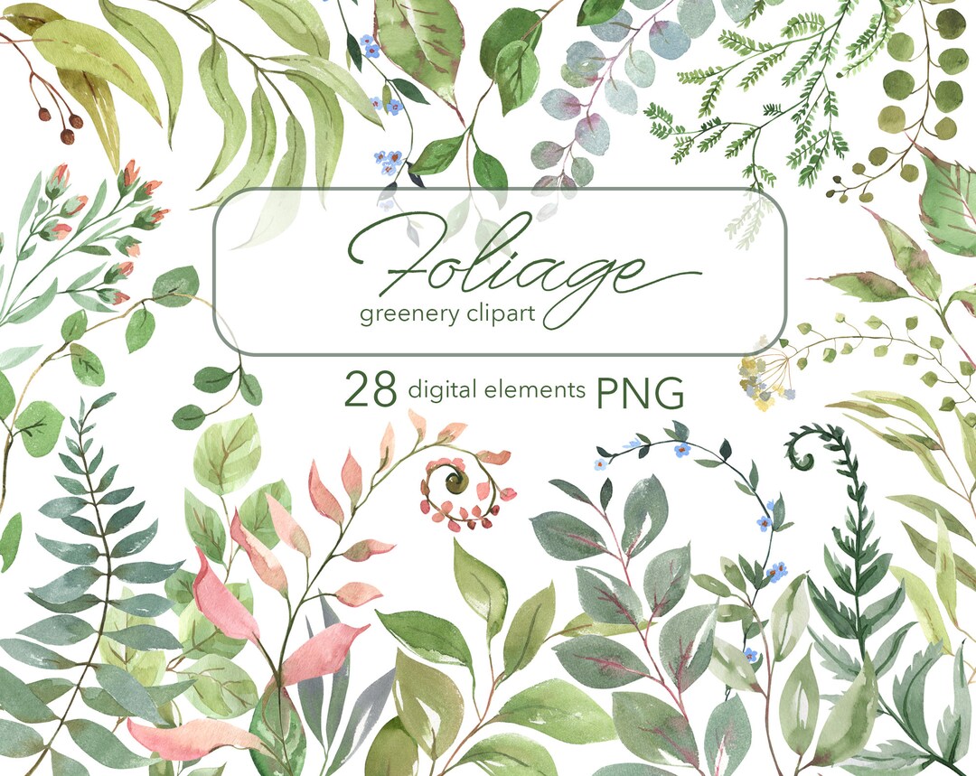 Watercolor Greenery Clipart. Botanical Art, Invitation Foliage Clipart ...