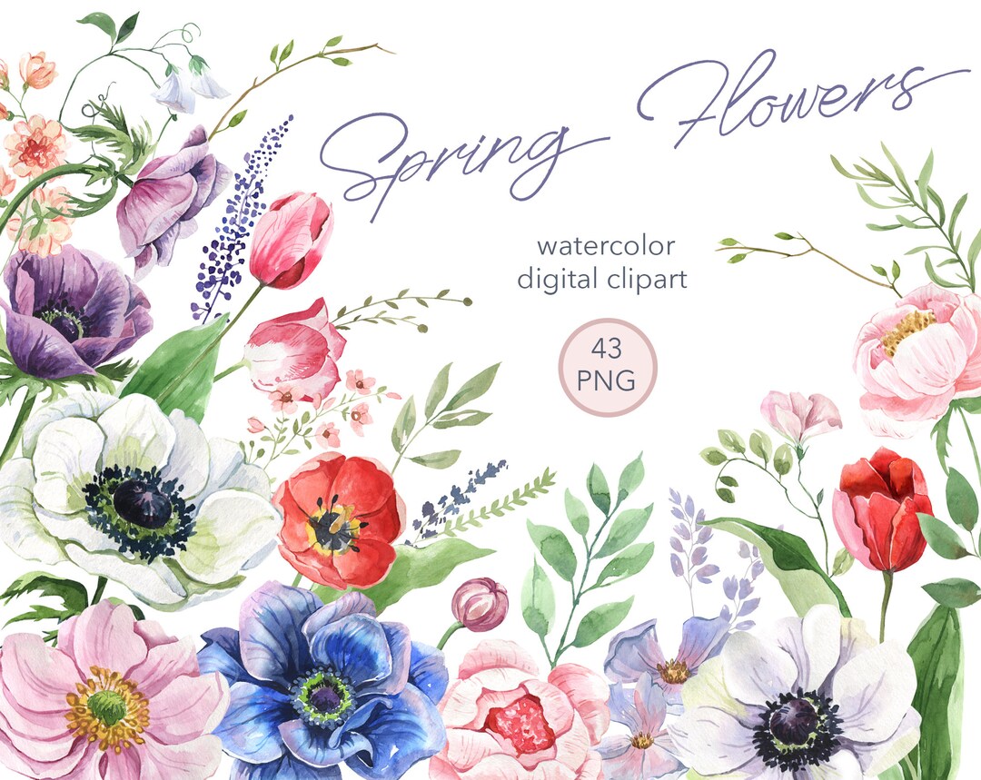 Watercolor Spring Flower Clipart. Anemone, Tulips, Peonies Clipart ...