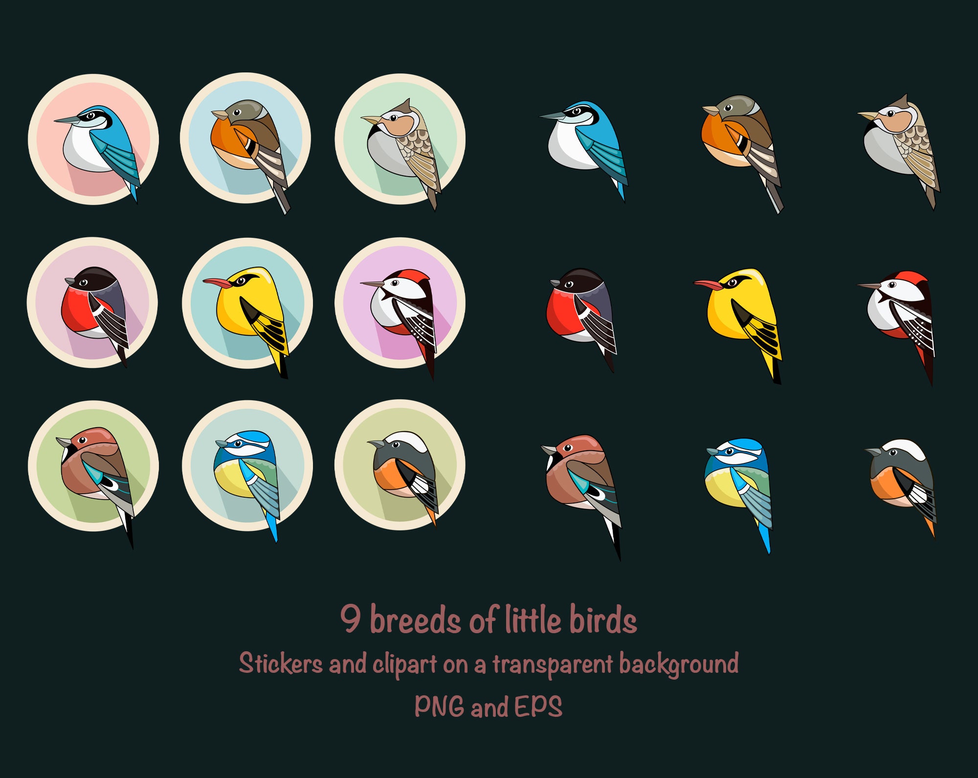 Small Bird Digital Clipart. PNG Set of Tiny Birds. Jay. | Etsy