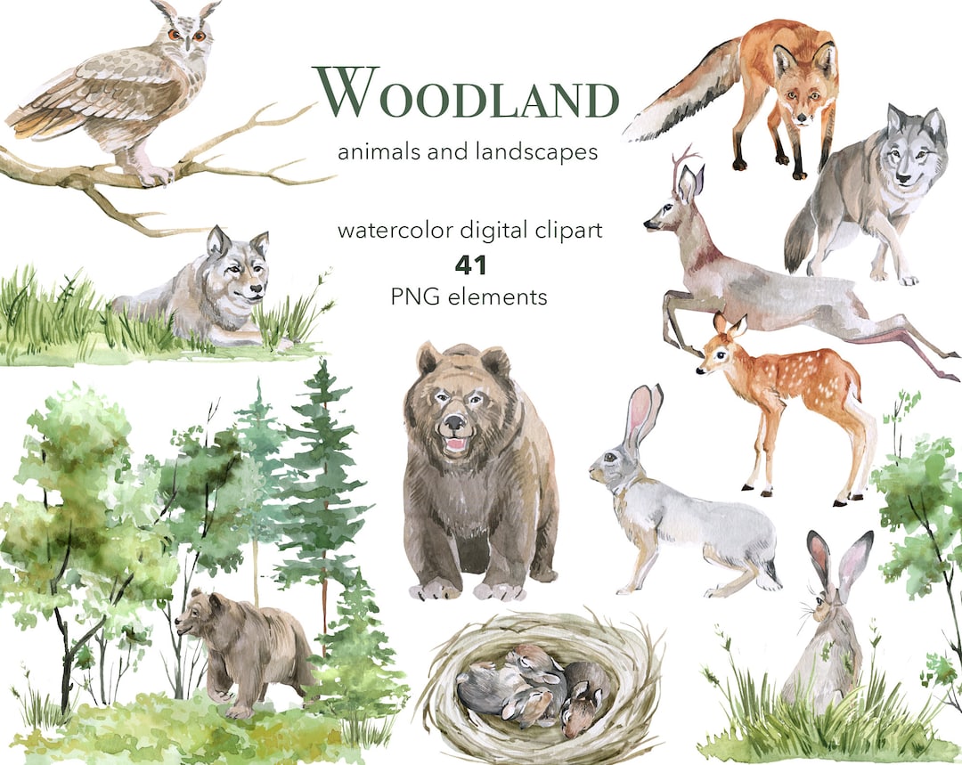 Watercolor Forest Animals Clipart. Cute Animals Illustration, Forest ...