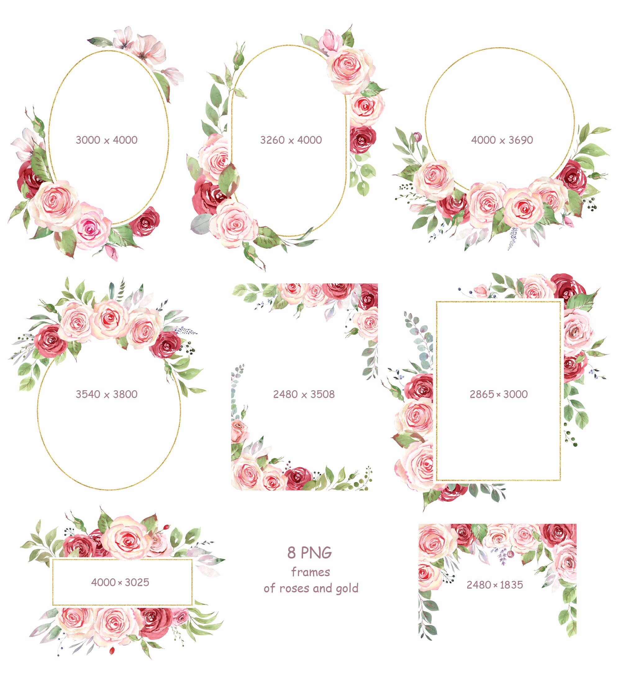 Watercolor Blush Rose Clipart, Pink Roses Floral Frame Clipart. Corner ...