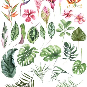 Tropical Greenery Watercolor Clipart. Banana, Monstera and Palm Leaf ...