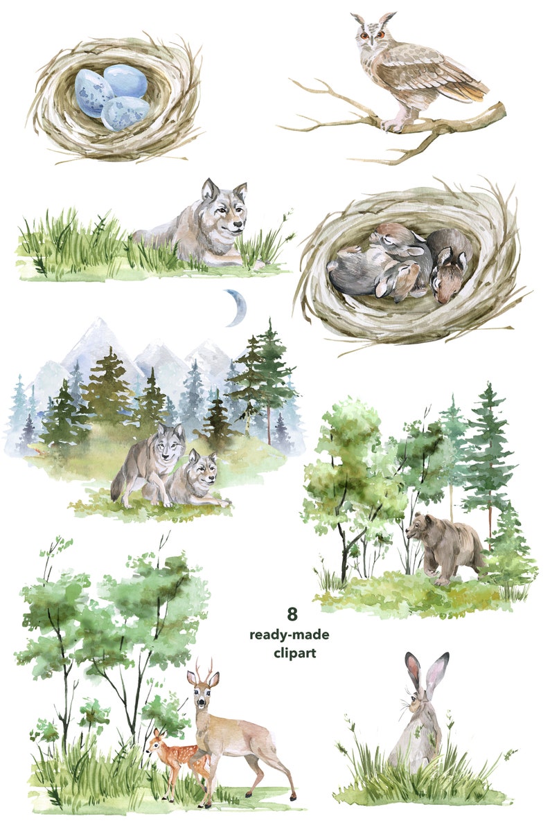 Watercolor Forest Animals Clipart. Cute Animals Illustration, Forest ...