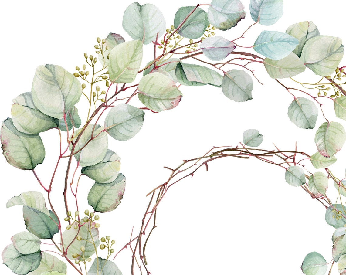 Watercolor Eucalyptus Wreath Clipart. Greenery Wreath Leaf | Etsy