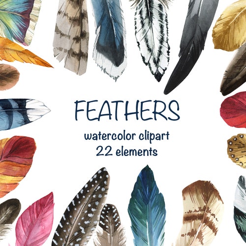 Watercolor Feathers Clipart Feather Clipart Boho Feathers - Etsy