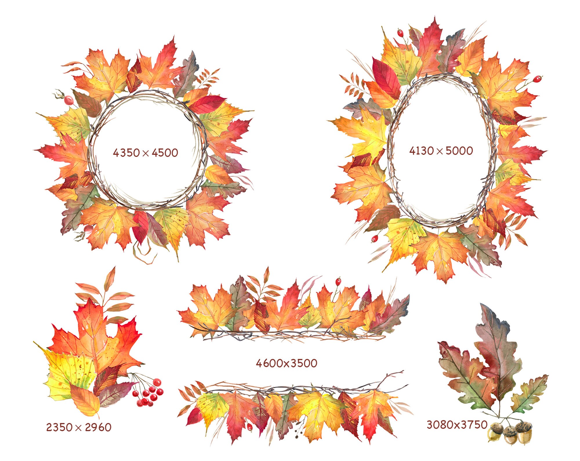 Fall Wreath Clipart. Watercolor Autumn Wreath. Foliage Wreath | Etsy