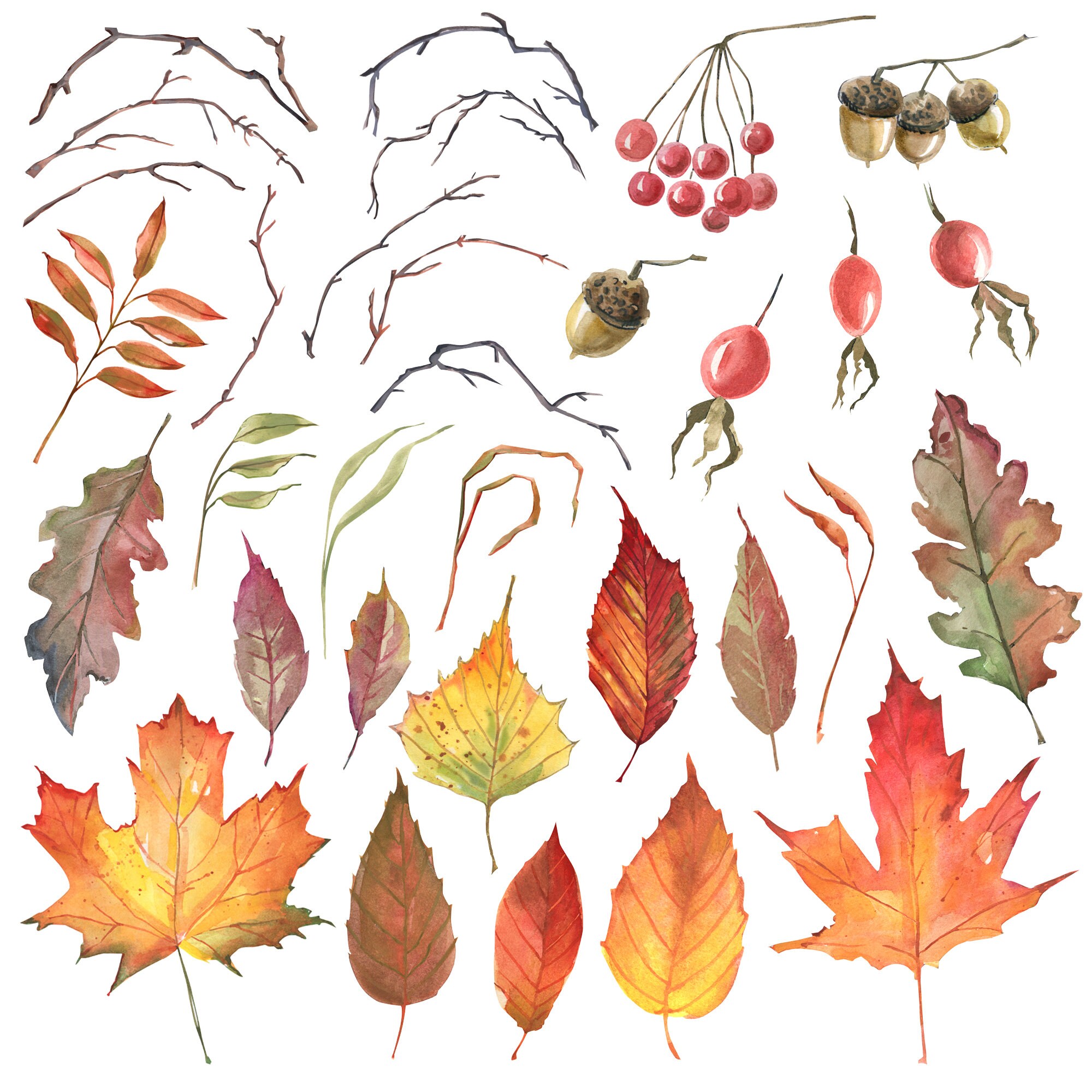 Watercolor Fall Leaves Clipart. Fall Clip Art. Autumn - Etsy