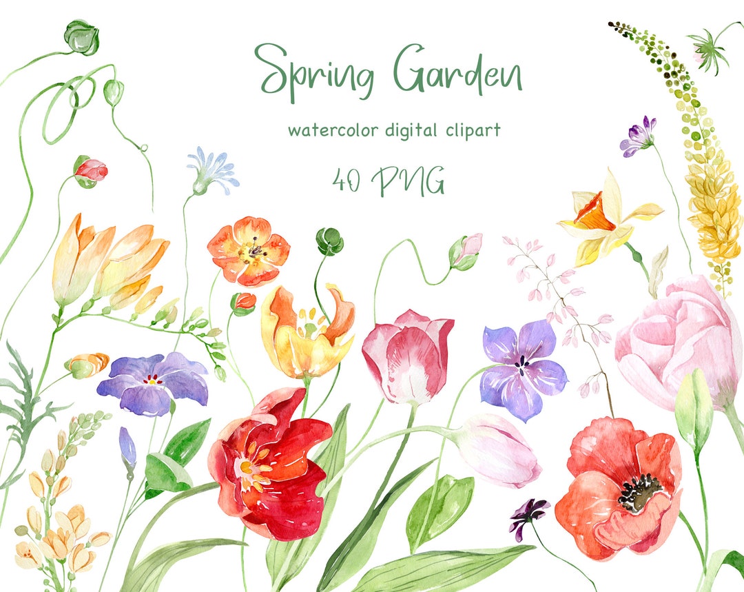 Watercolor Spring Floral Clipart, Meadow and Garden Flowers, Poppy ...
