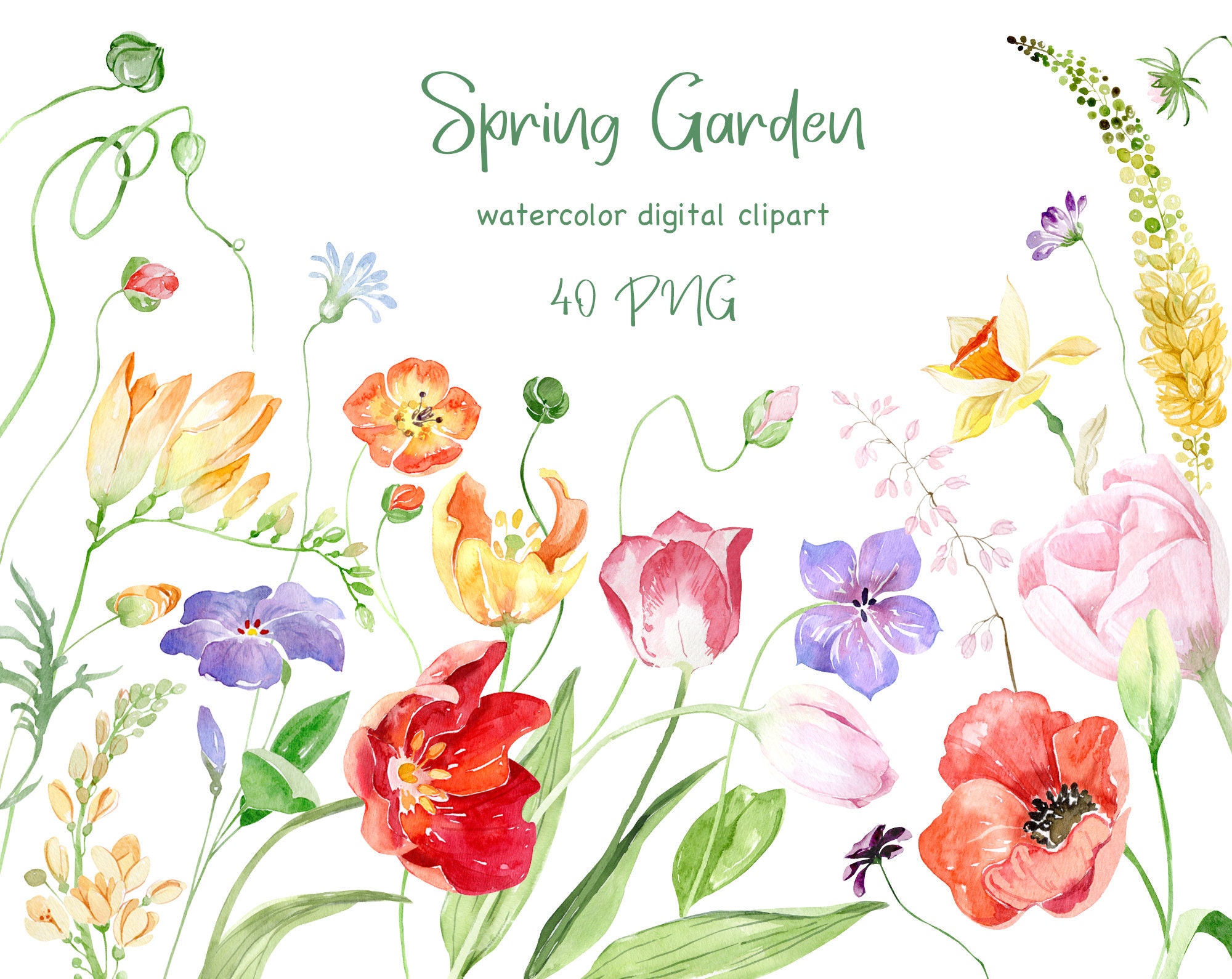 Watercolor Spring Floral Clipart Meadow and Garden Flowers - Etsy