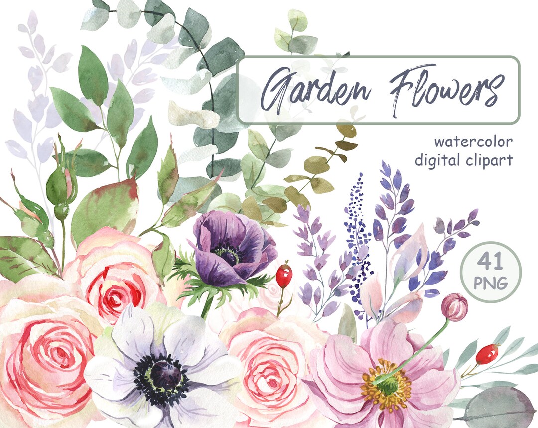 Watercolor Flowers Clipart, Anemone, Roses, Eucalyptus, Green Leaves ...