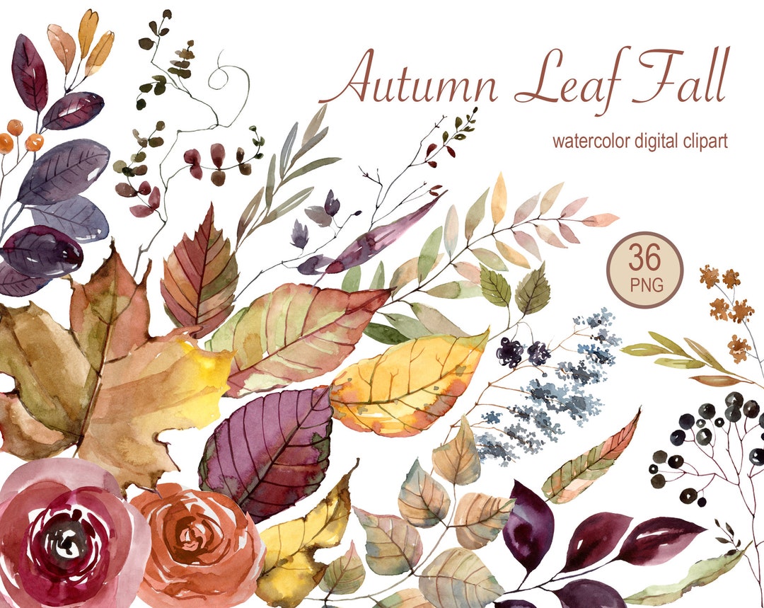 Watercolor Autumn Leaves, Clipart, Fall Rusty Clipart, Fall Leaves ...