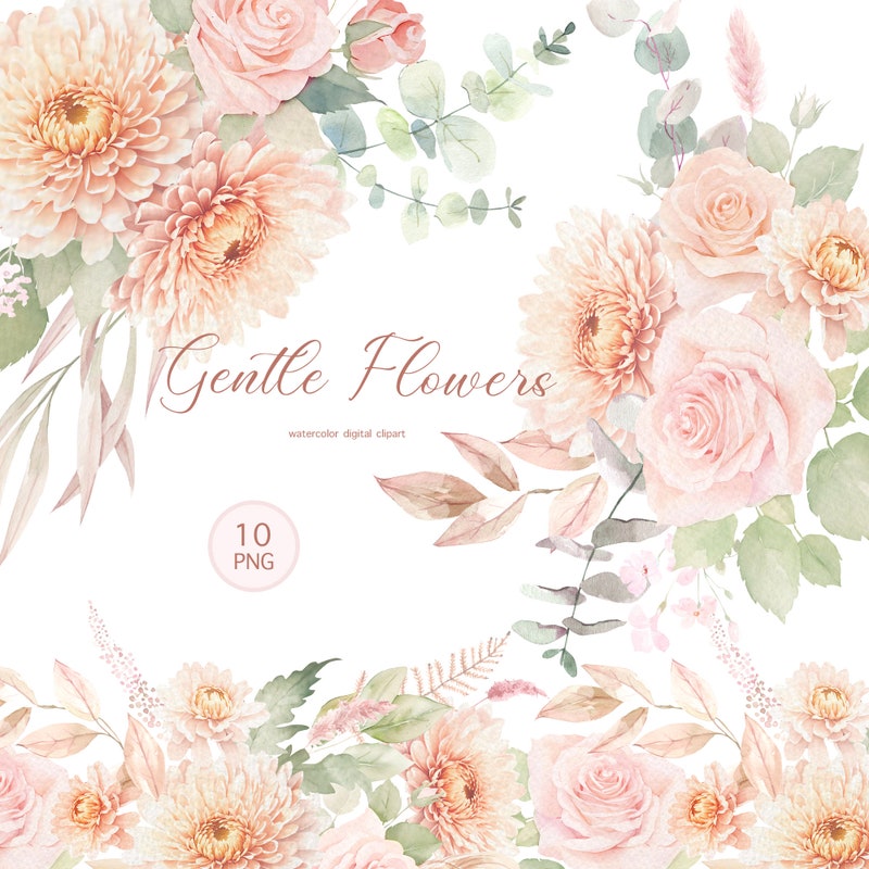Blush Watercolor Flowers - Etsy