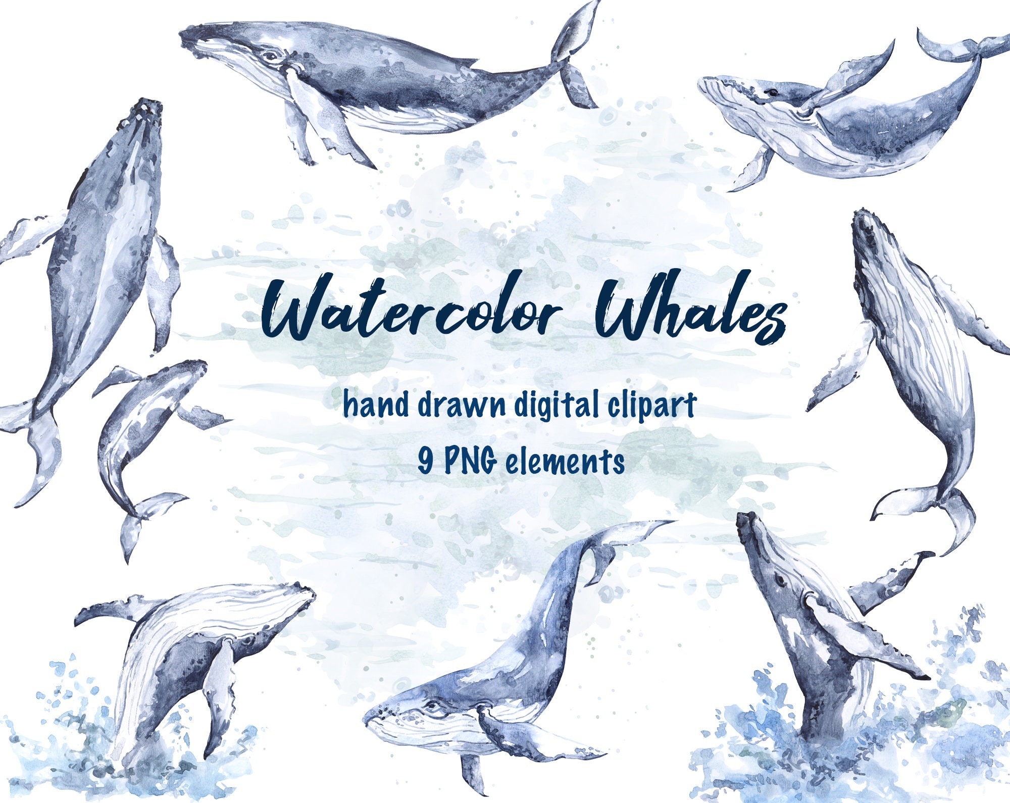 Watercolor Whales Clipart. Watercolor Sea Animals. Whales - Etsy