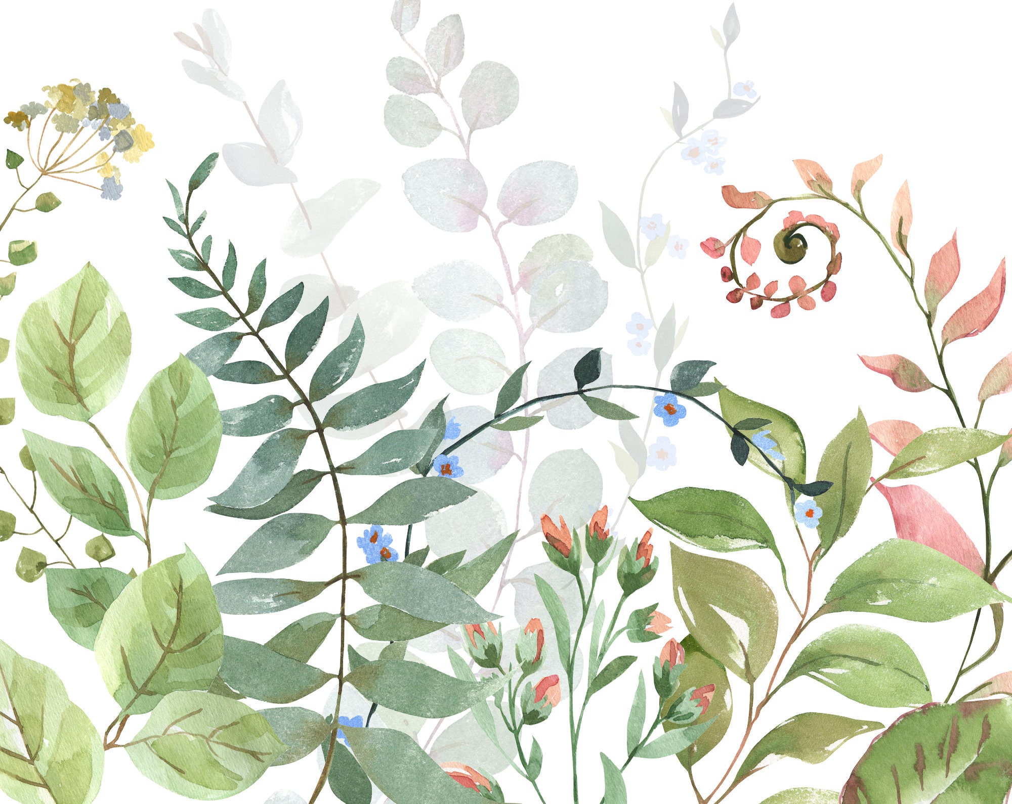 Watercolor Greenery Clipart. Botanical Art Invitation Foliage - Etsy