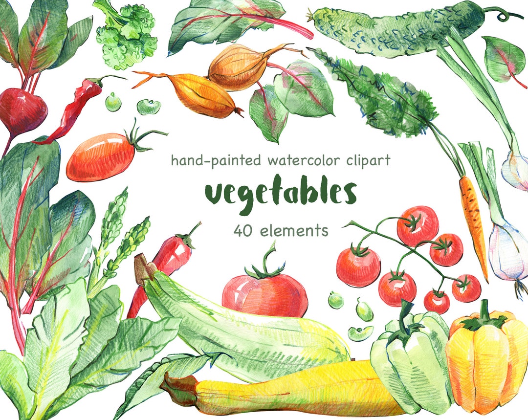 Watercolor Vegetables Clipart. Garden Vegetables Printable. Kitchen ...