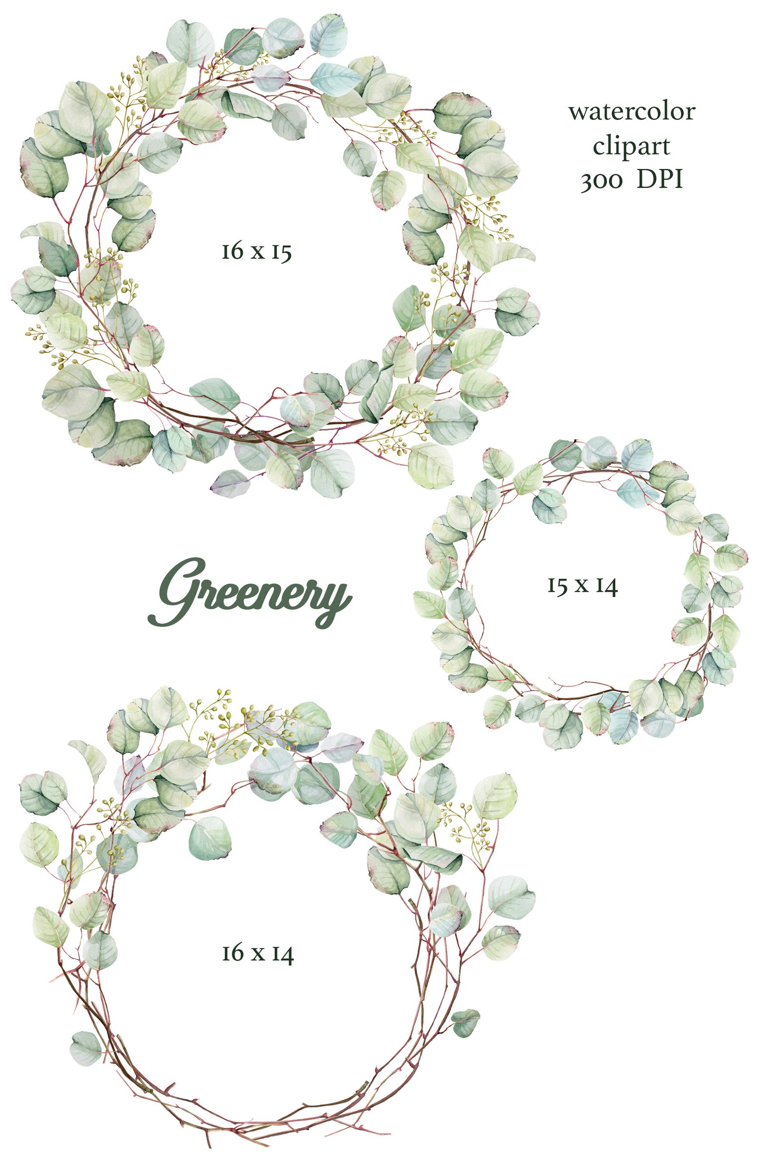Watercolor Eucalyptus Wreath Clipart. Greenery Wreath Leaf - Etsy