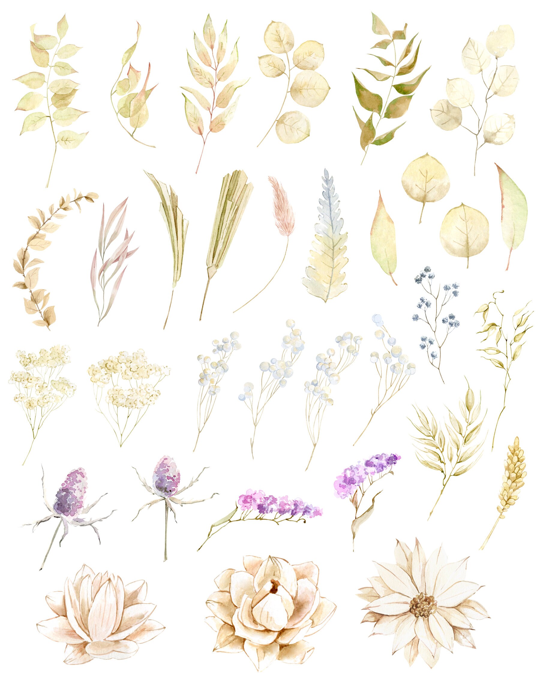 Dried Boho Florals Clipart. Watercolor Bohemian Flowers and Leaves ...