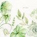 Watercolor Green Flowers Clipart. Green Roses and Gardening Flowers ...