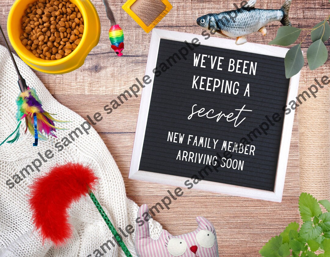 New Cat Announcement for Social Media. Instant Digital Download - Etsy