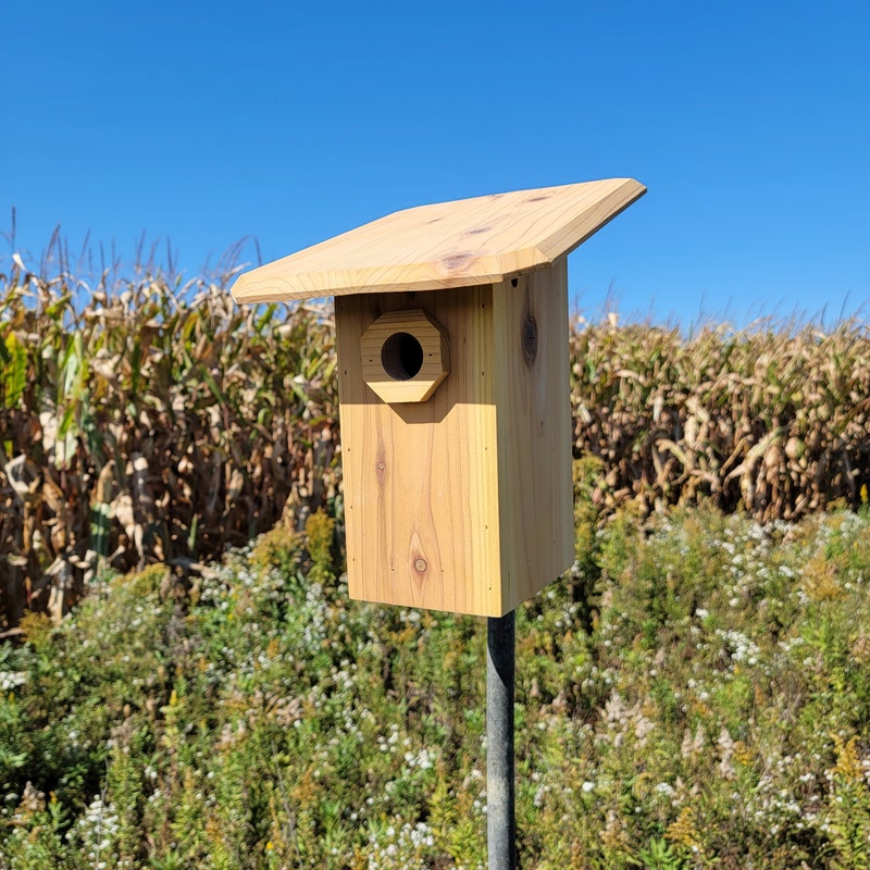 Bluebird House - Etsy