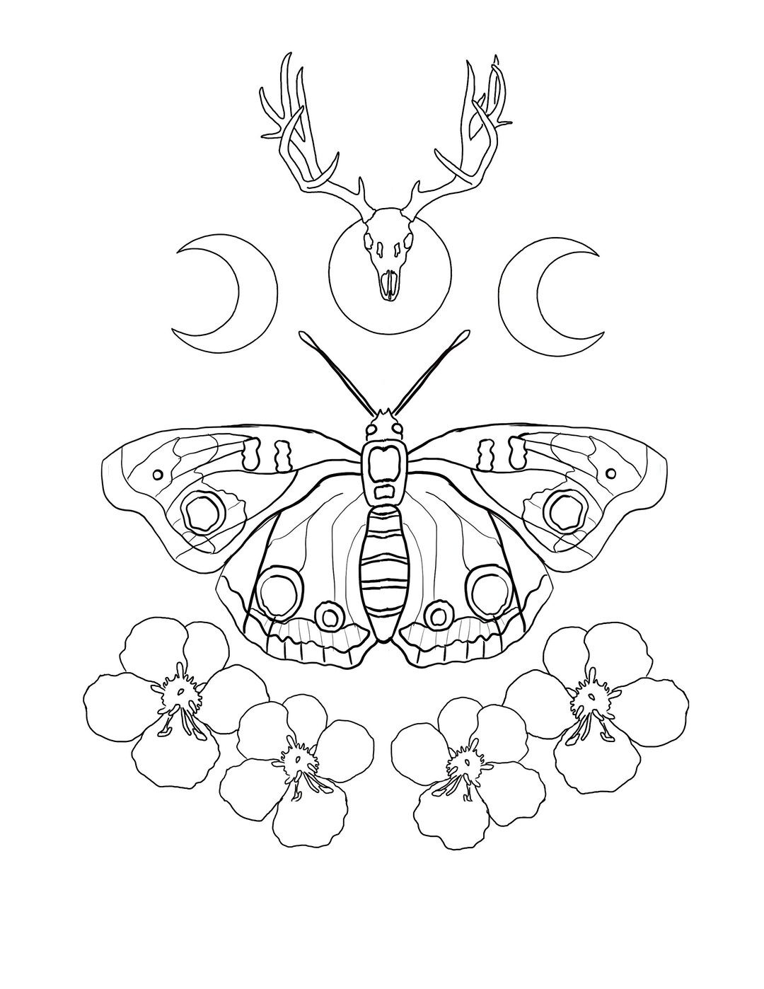 Moth Printable Coloring Page - Etsy