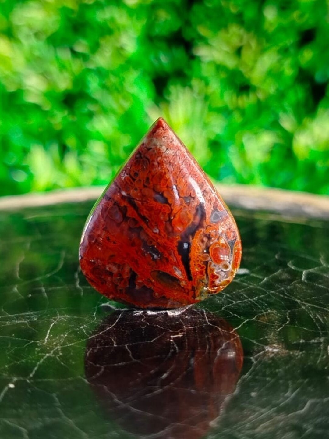 Plume Opalized Petrified Wood - Etsy