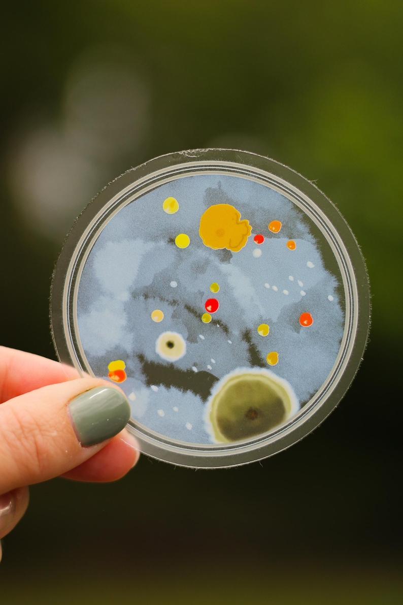 Bacteria Petri Dish Clear Sticker - Science Lab Waterproof Decal - Etsy