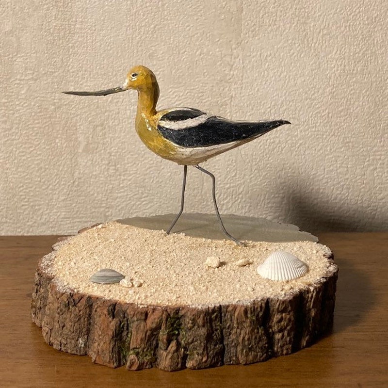 American Avocet - Etsy