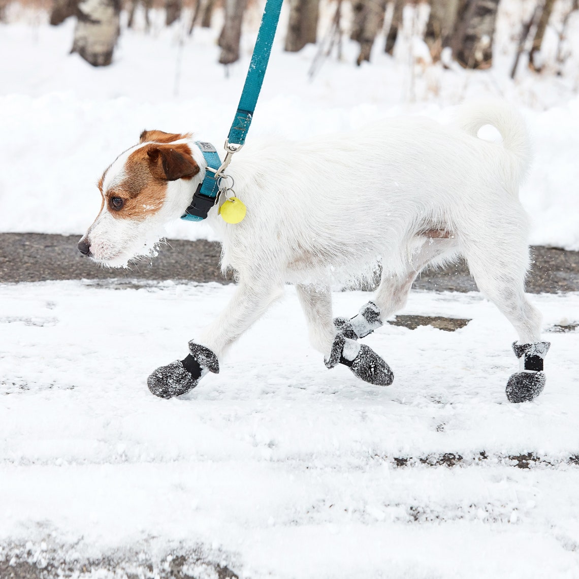 RED TINY, Mitts for Mutts Dog Boots, Winter Boots for Dogs, Rubber ...