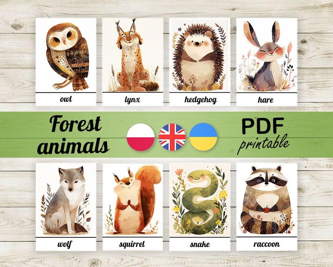 Printable Forest Animals Flashcards Multilingual english, Ukrainian ...