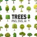 Tree Clipart Bundle | 50 Unique Tree Designs | SVG & PNG Digital ...