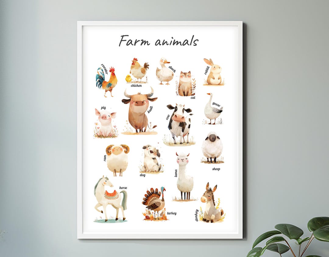 Farm Animals Educational Poster for Montessori - Classroom Decor ...