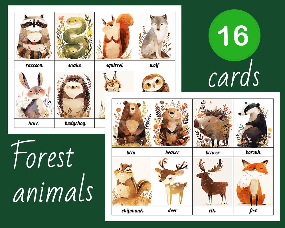 Forest Animals Educational Flashcards Set- Set for Baby Development - Etsy