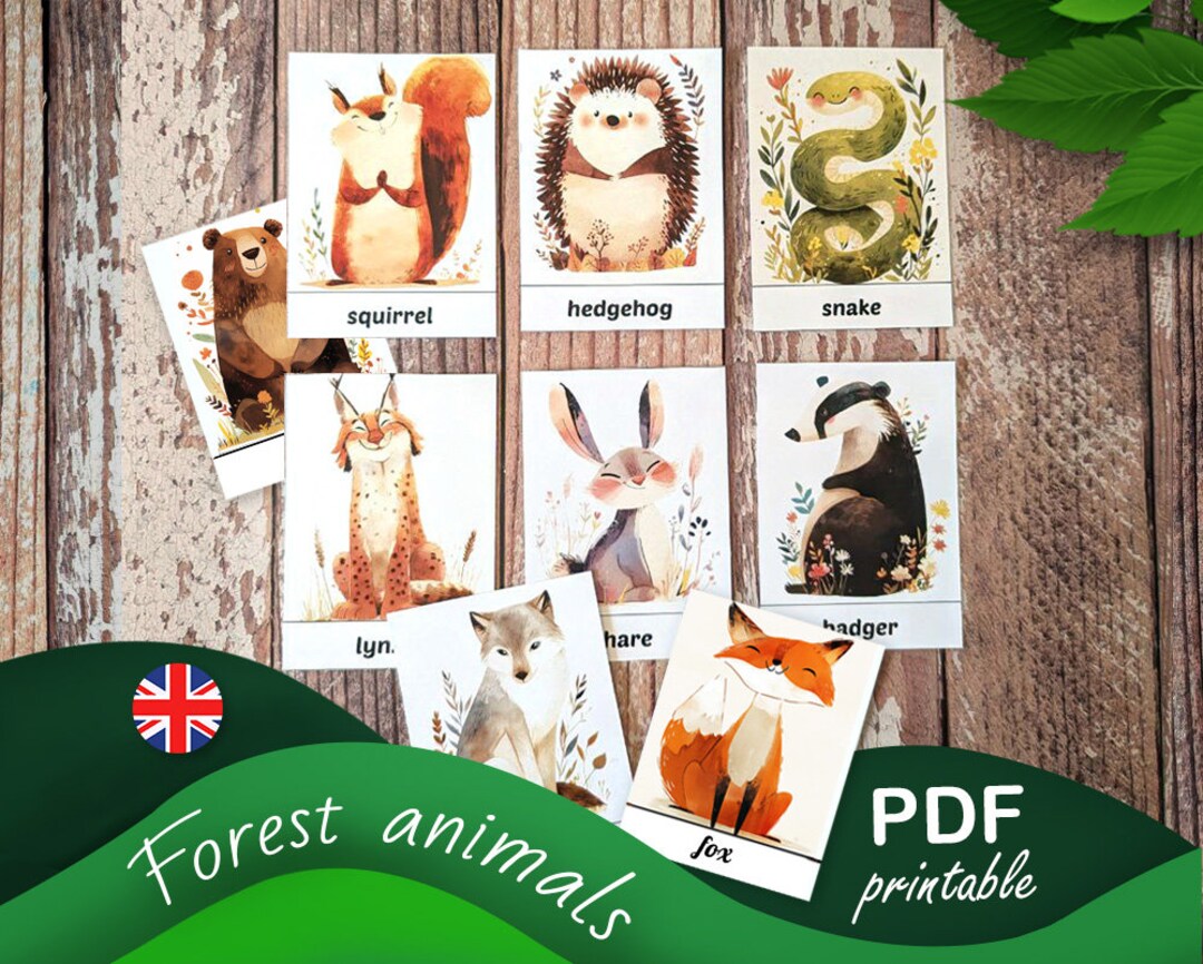 Forest Animals Educational Flashcards Set- Set for Baby Development - Etsy