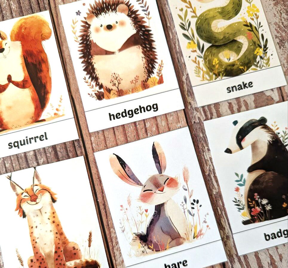 Forest Animals Educational Flashcards Set- Set for Baby Development - Etsy