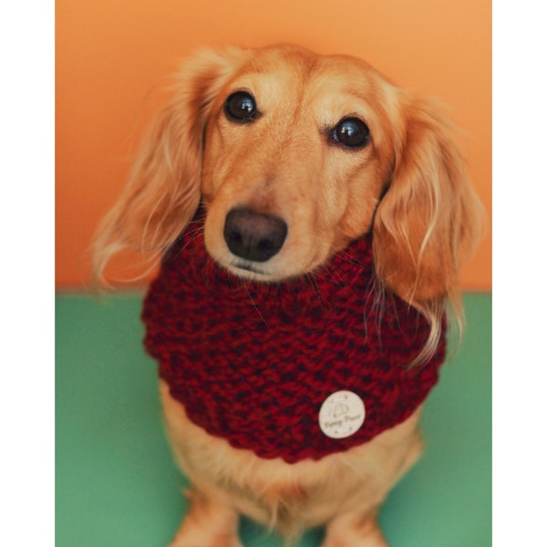 Knitted Dog Scarf - Etsy