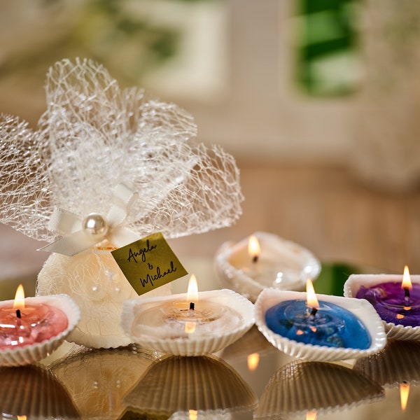 Seashell Favors - Etsy