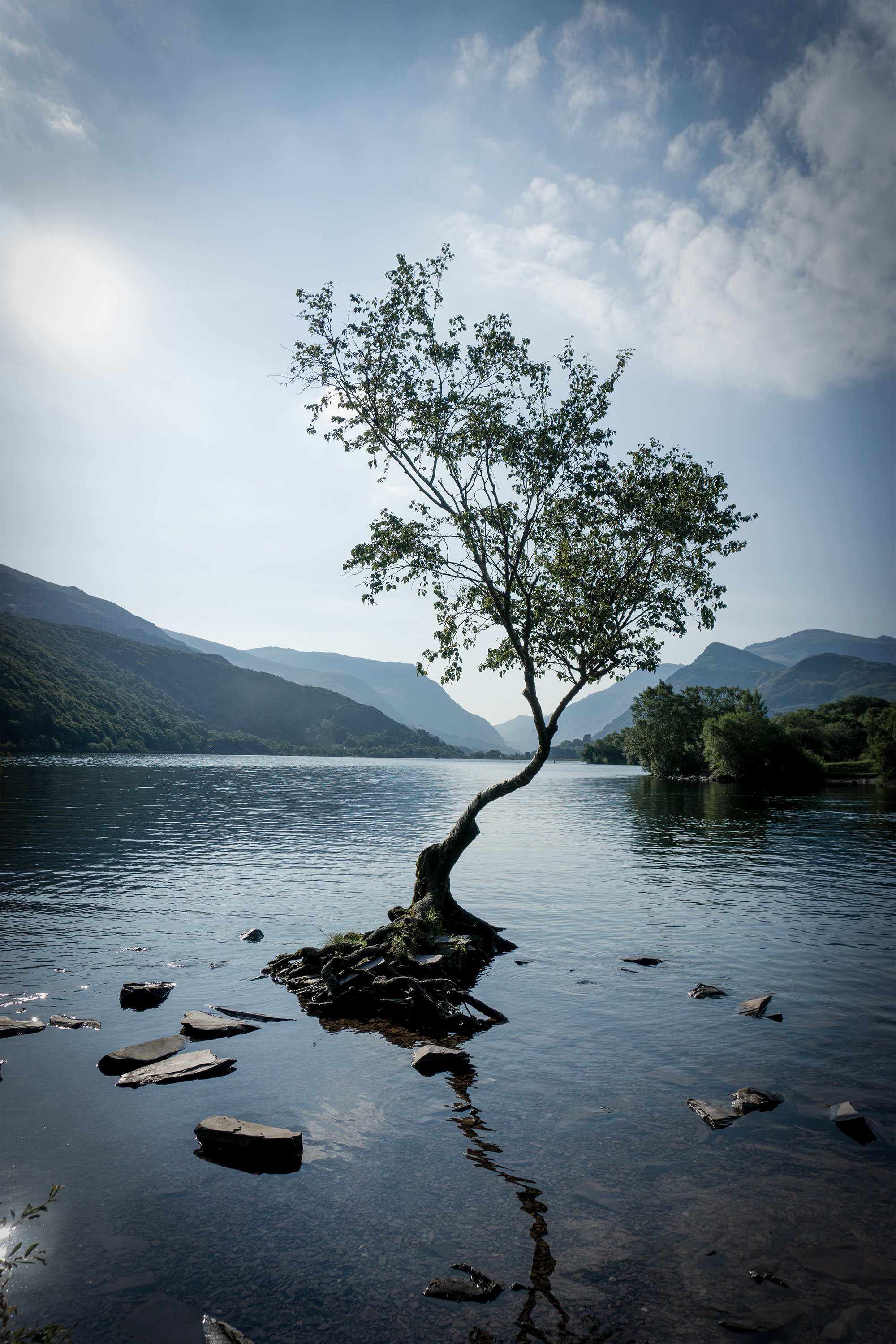Snowdonia Lone Tree Llyn Padarn Snowdon Print Snowdonia | Etsy