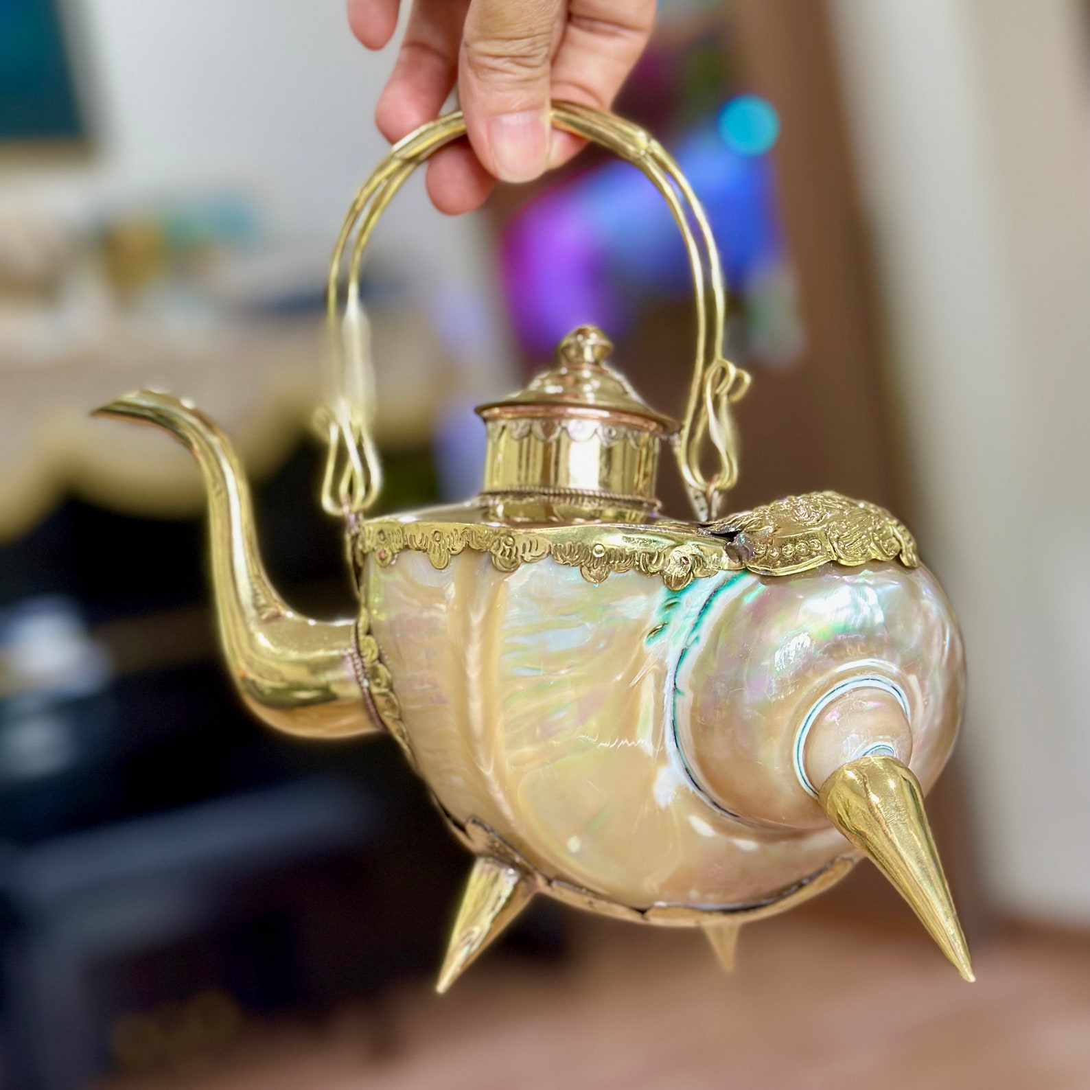 Set of Conch Shell Teapot and Cups, Bronze Edged, Home Decor, Unique ...