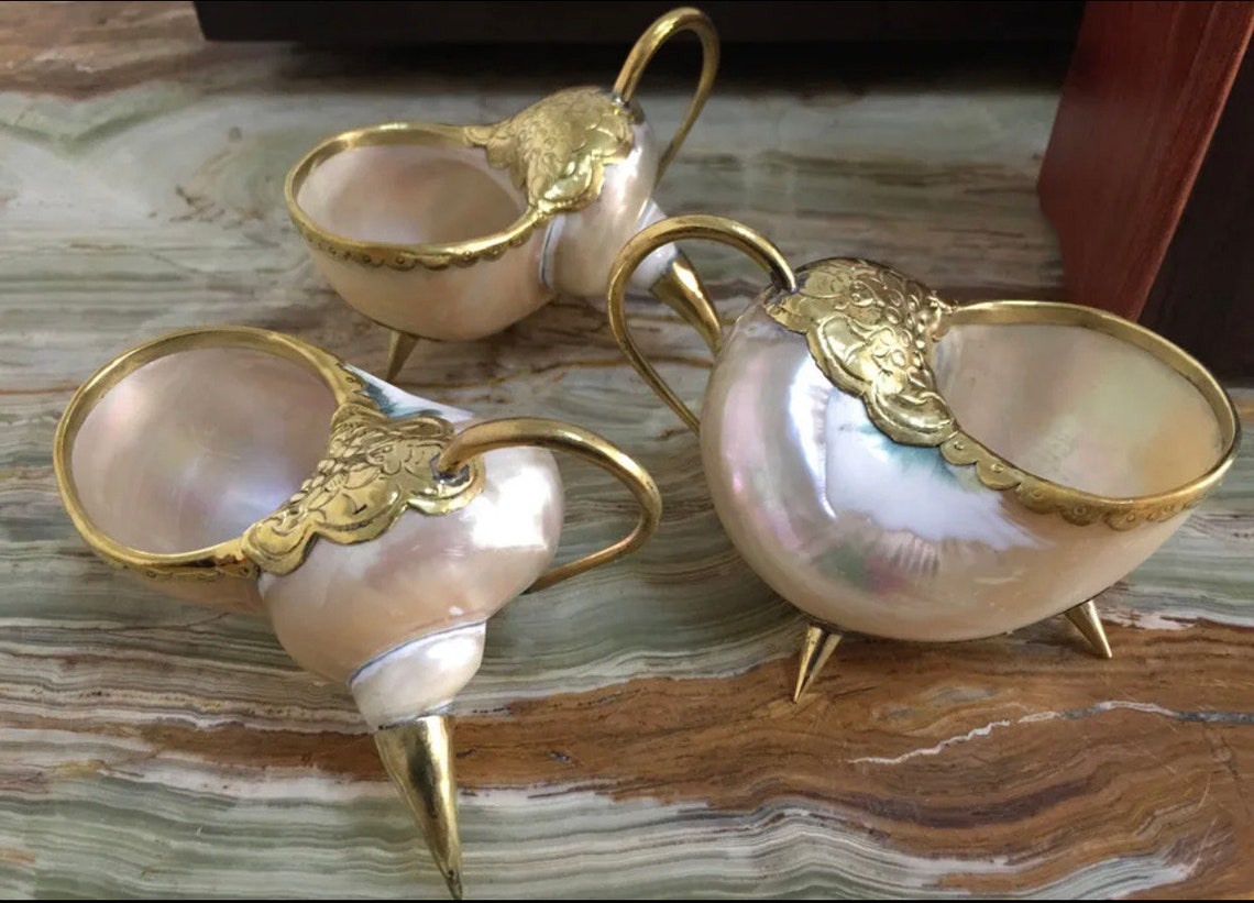 Set of Conch Shell Teapot and Cups, Bronze Edged, Home Decor, Unique ...