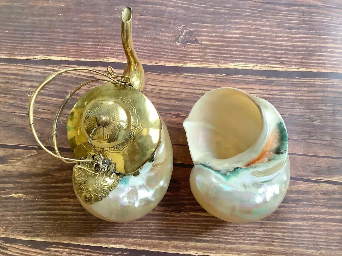 Set of Conch Shell Teapot and Cups, Bronze Edged, Home Decor, Unique ...