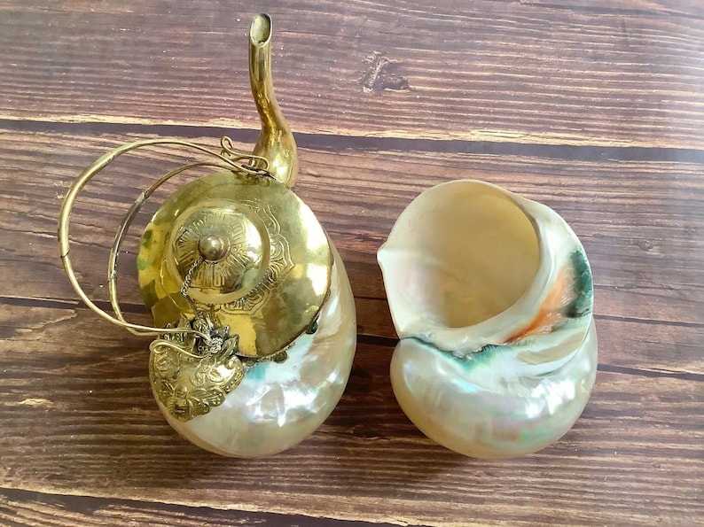 Set of Conch Shell Teapot and Cups, Bronze Edged, Home Decor, Unique ...