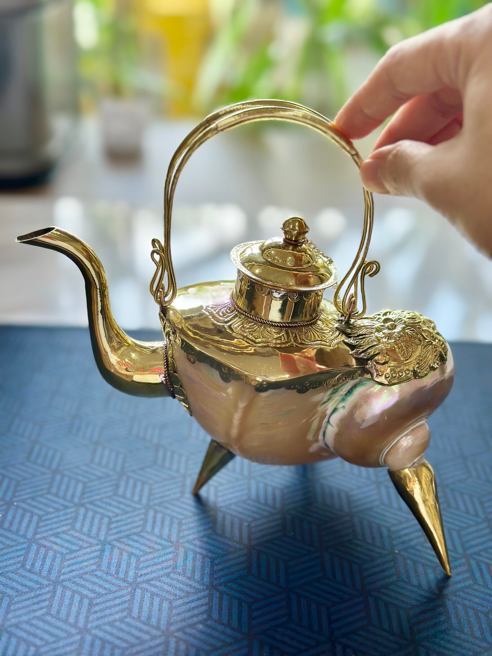 Set of Conch Shell Teapot and Cups, Bronze Edged, Home Decor, Unique ...