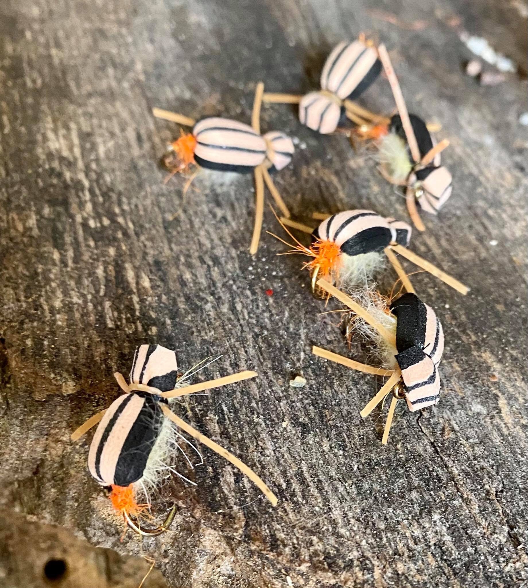3 Pcs Fly Fishing Foam Bugs Colorado Beetle Kamasan Hook - Etsy